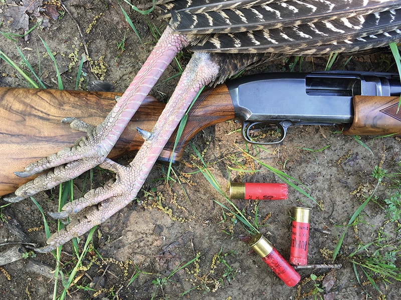 Turkey Shooting - Me and Paul | Larry's Short Stories
