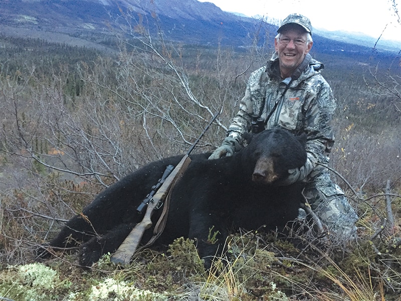 A Rare Bear | Larry's Short Stories