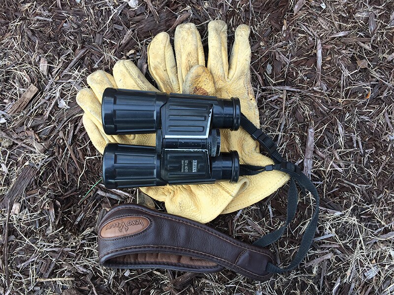 The Big Ten Pointer | Larry's Short Stories