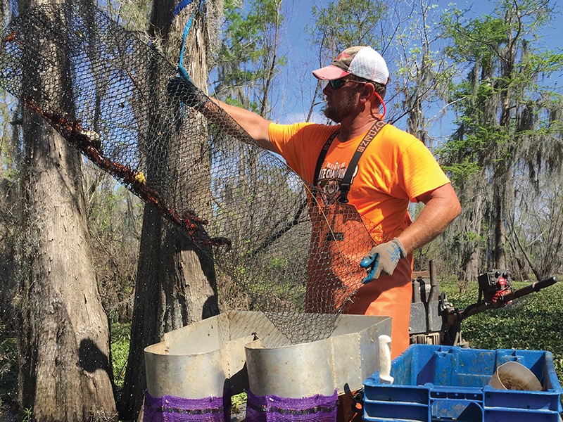Running the Crawfish Traps | Larry's Short Stories