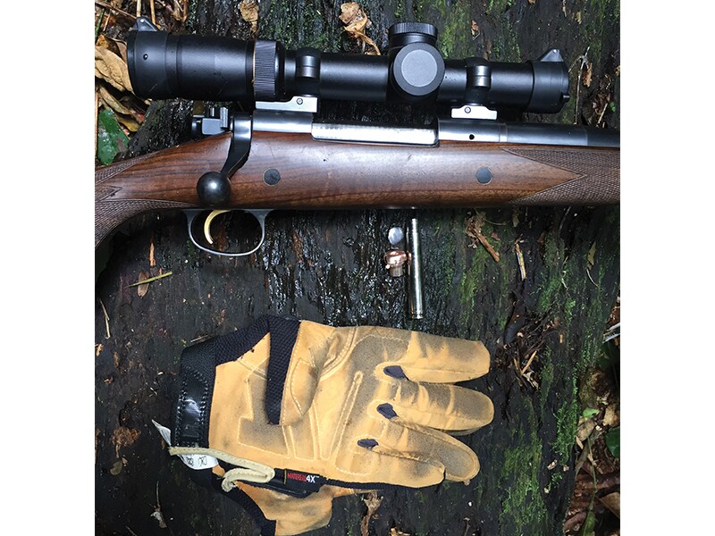 Buffalo at the Muzzle | Larry's Short Stories