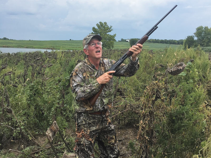 Dove Season 2018 | Larry's Short Stories