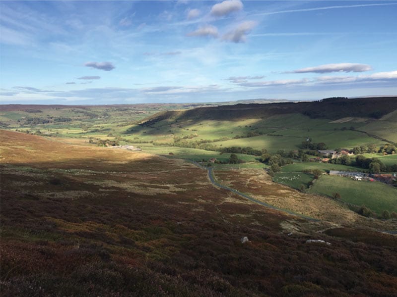 The Danby Grouse Moor | Larry's Short Stories