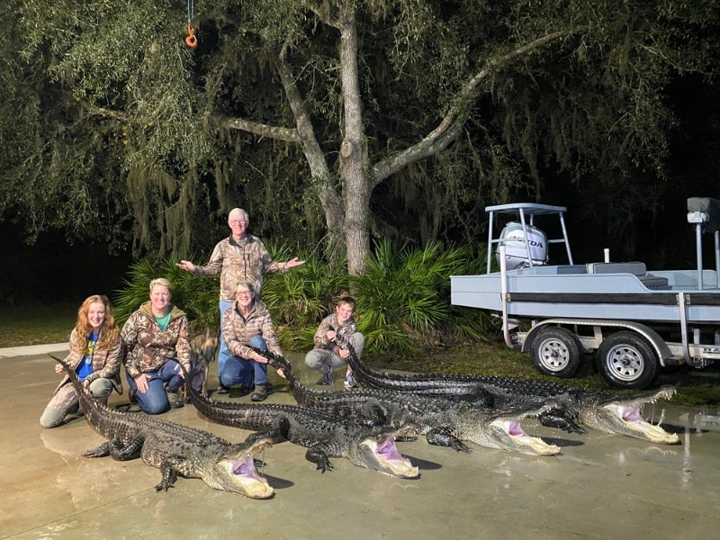 The Alligator Hunt | Larry's Short Stories