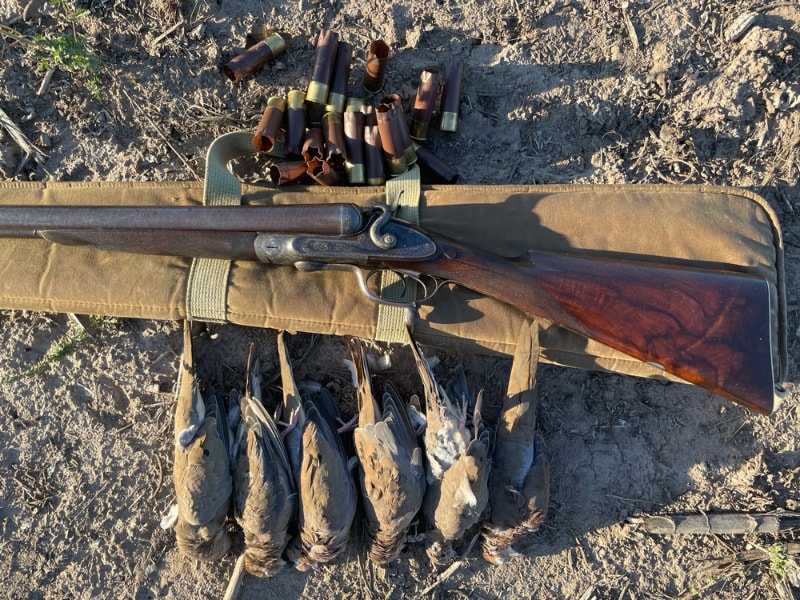 Best Dove Season Ever | Larry's Short Stories