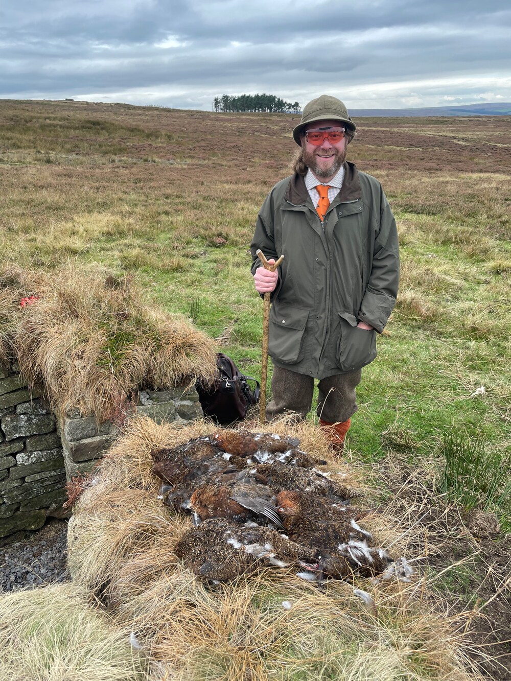 Red Grouse at Hadrian's Wall | Larry's Short Stories