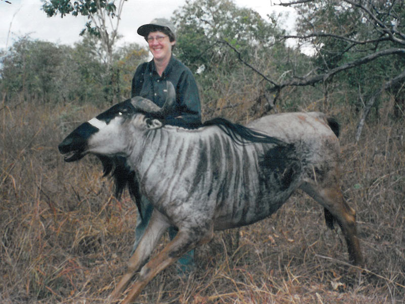 The Dead Wildebeest That Stood Up | Larry's Short Stories