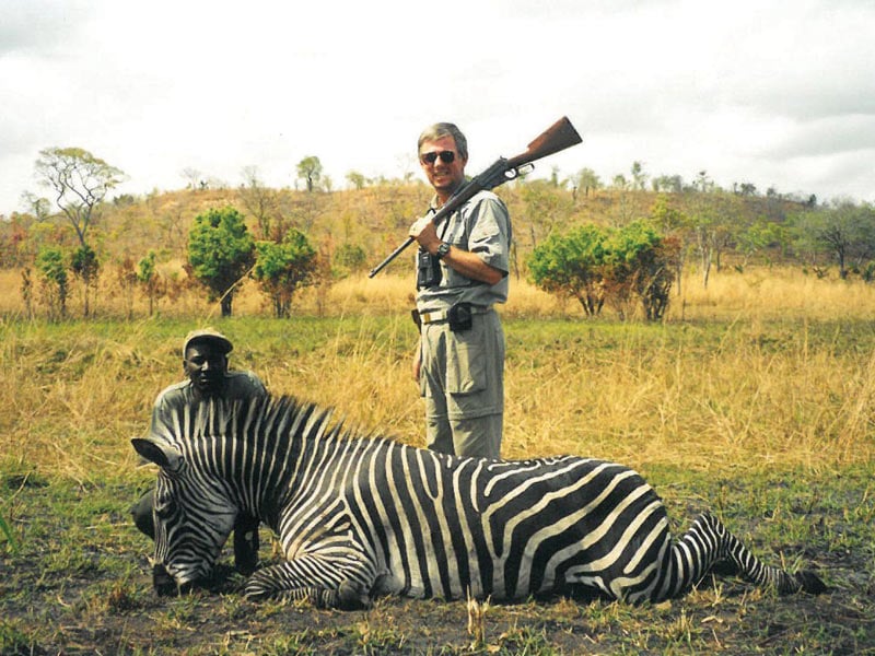 Zebra! | Larry's Short Stories