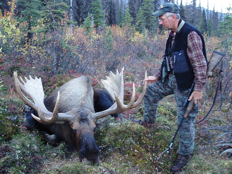 Fresh Moose Meat in the Bush | Larry's Short Stories