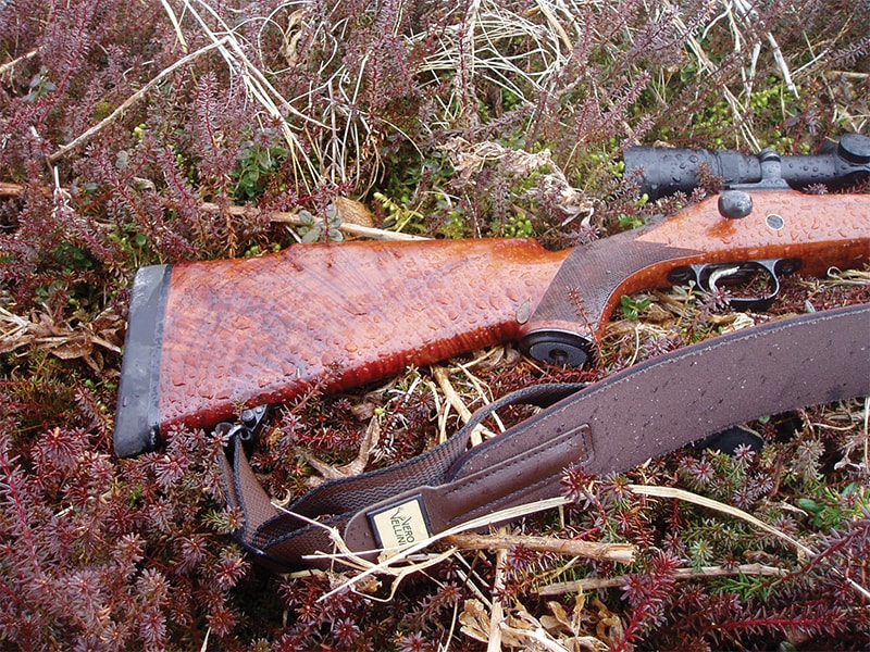 Let's Get Closer | Larry's Short Stories