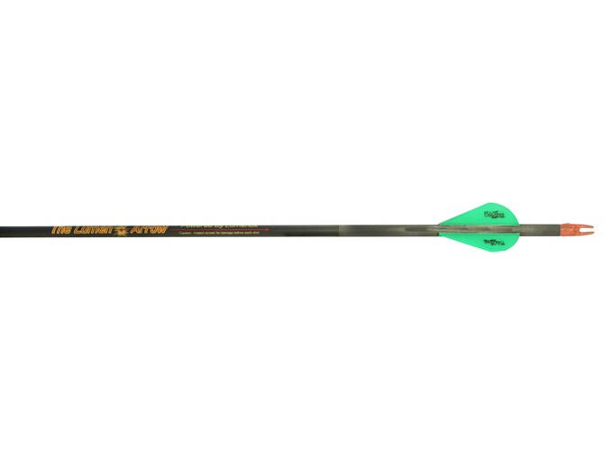 Lumenok LumenArrow 300 Carbon Arrow 2 Vanes Green Lighted Nock Black