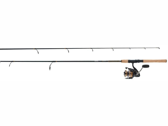 Daiwa BG 4500 Saltwater 9' Med Heavy Spinning Combo