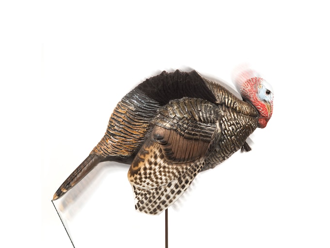 Dave Smith Decoys DSD Mating Motion Jake Turkey Decoy