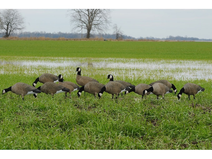 GHG Tim Newbold Signature Series Cackler Goose Decoys Harvester Pack