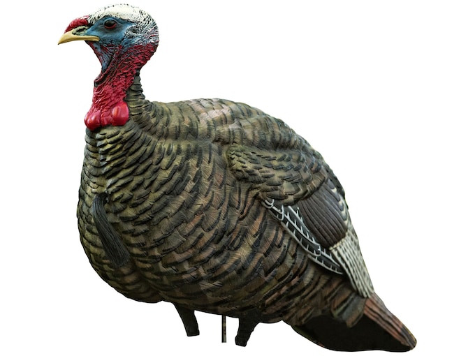 Avian-X LCD Quarter Strut Jake Turkey Decoy