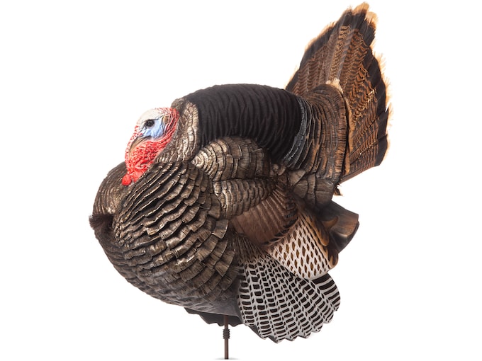 Dave Smith Decoys DSD Jake Strutter Turkey Decoy