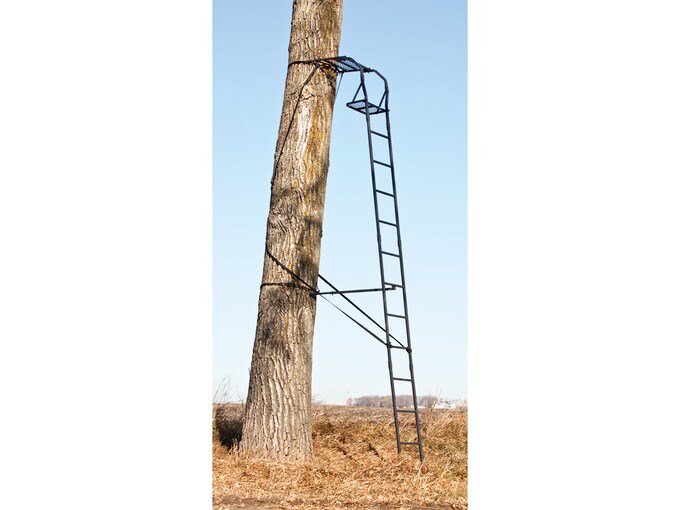 Big Game The Warrior Single Ladder Treestand Steel