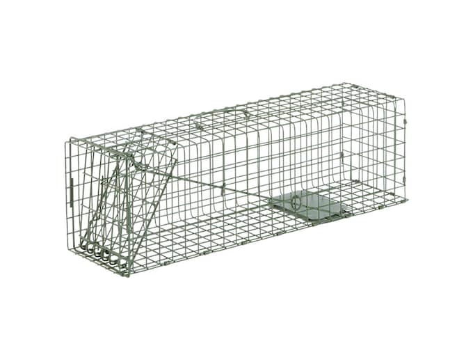 Duke #2 Single Door Cage Live Trap Steel Green