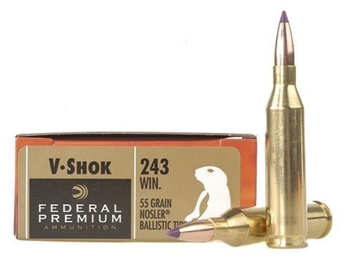 Federal Premium Varmint Ammo 243 Winchester 55 Grain Nosler Ballistic