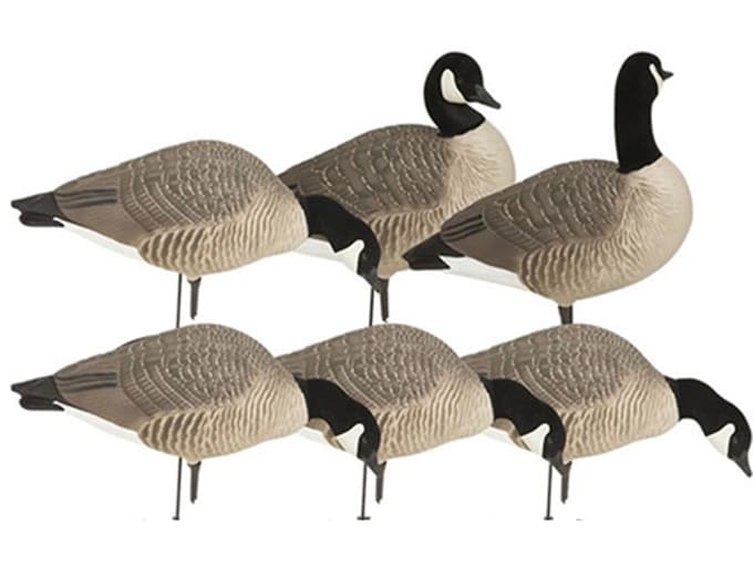 GHG Hunter Series Harvester Lesser Full Body Canada Goose Decoy Pack