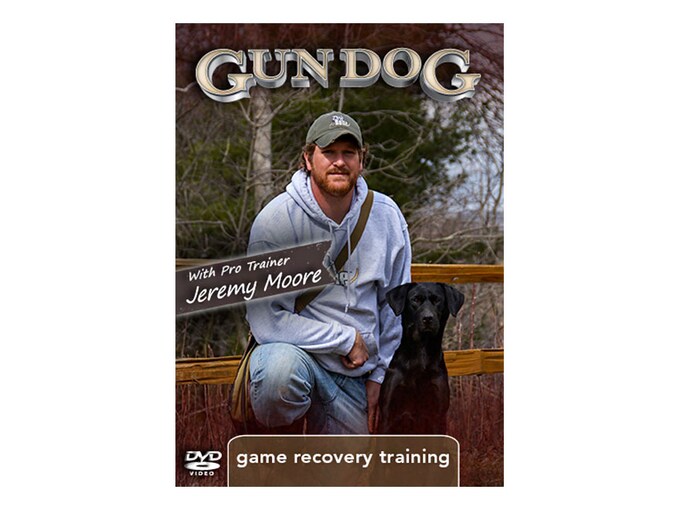 Game Recovery Training DVD