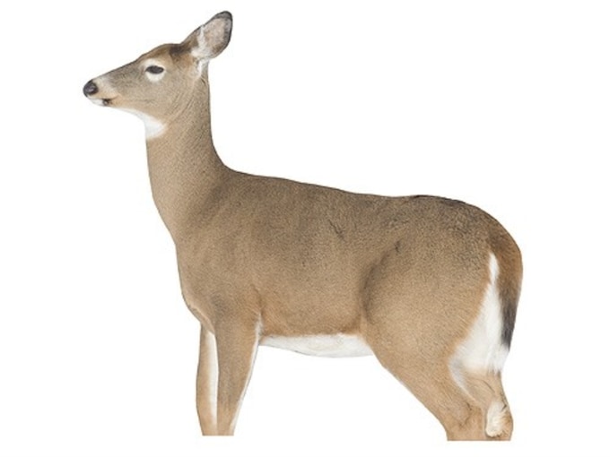 Montana Decoy Dreamy Doe Deer Decoy Cotton Polyester Steel
