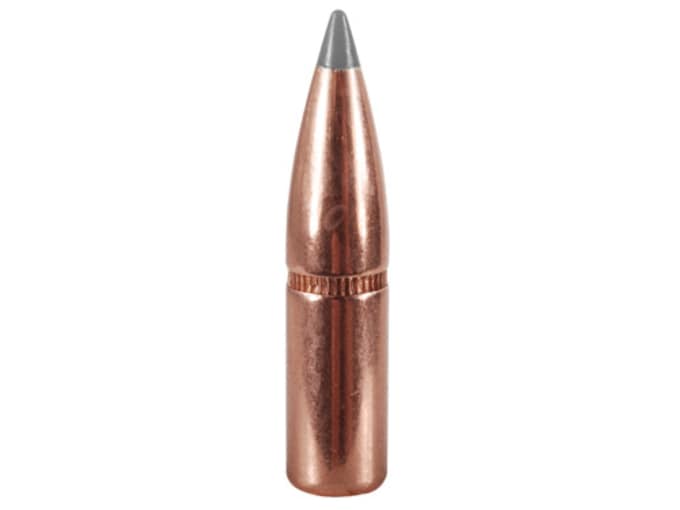 Factory Second Bullets 25 Cal (257 Diameter) 117 Grain Polymer Tip