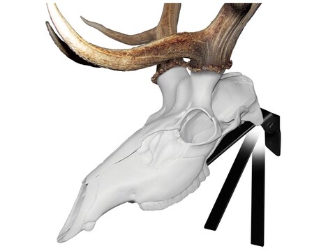 Elk European Mount Stand