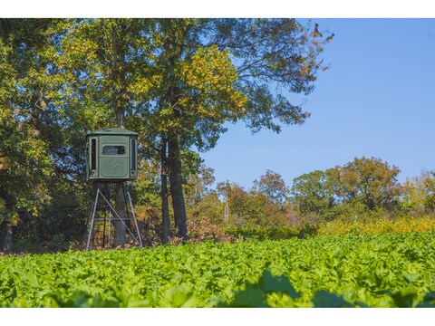 Redneck Hunting Blinds Midwayusa Redneck Buck Palace 6 X 6 Platinum