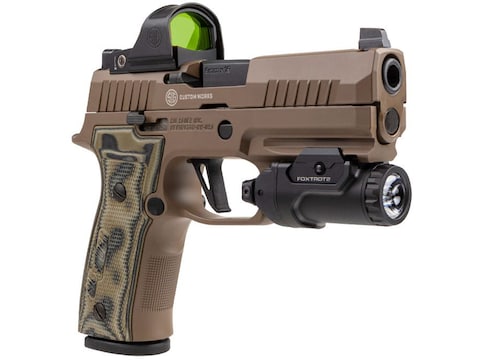 Sig Sauer P226 Tactical Light