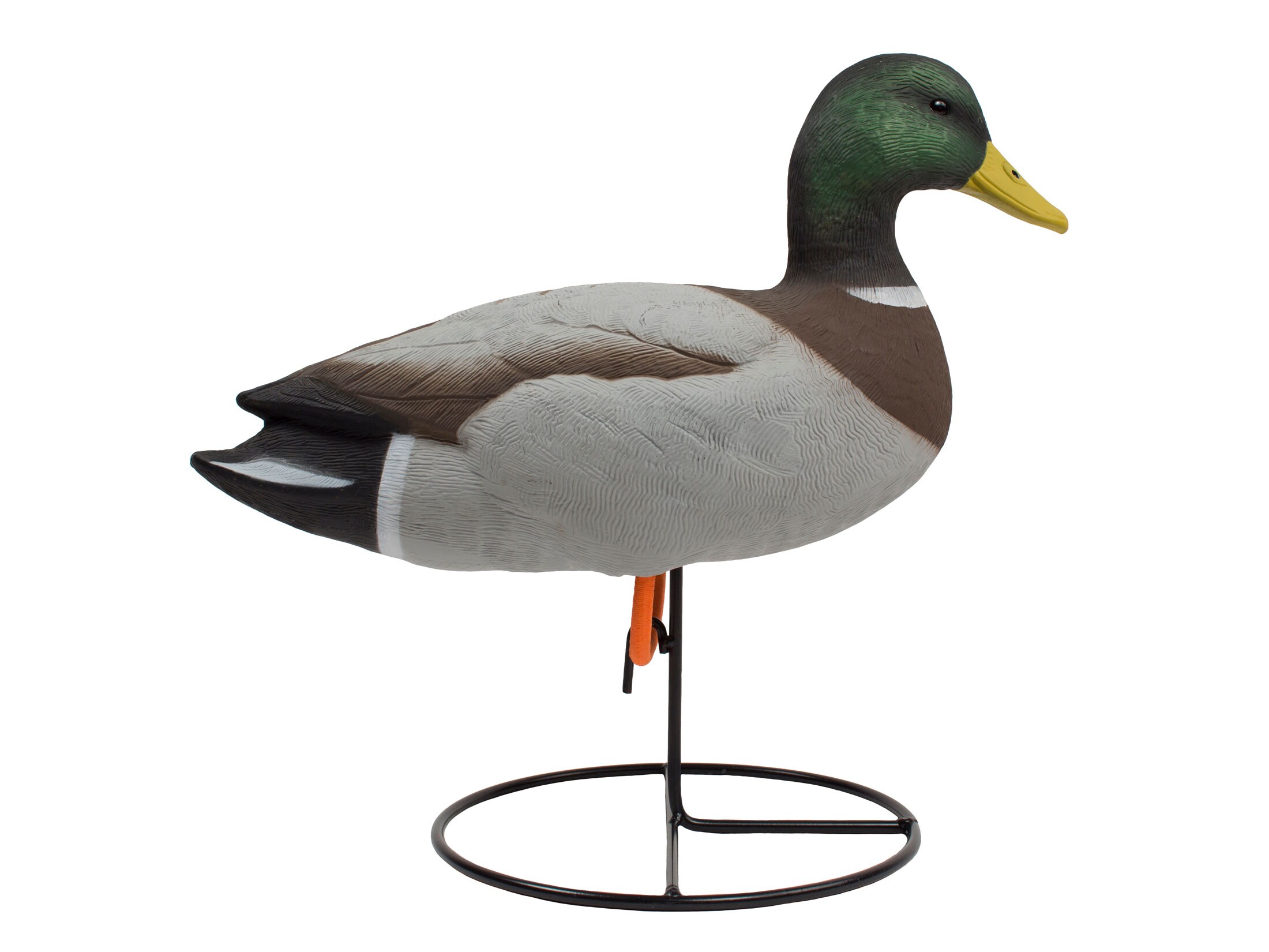 Tanglefree Pro Series Full Body Mallard Upright Duck Decoy 6PK