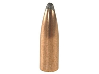 Product Comparison for Hornady V-Max 6mm, 243 Caliber (243 Diameter ...