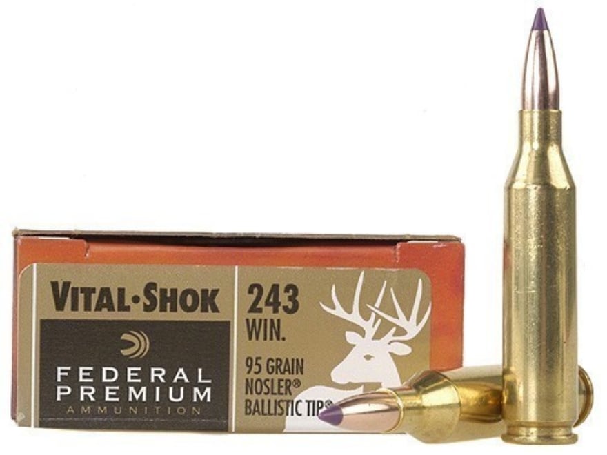Federal Premium 243 Winchester Ammo 95 Grain Nosler Ballistic Tip