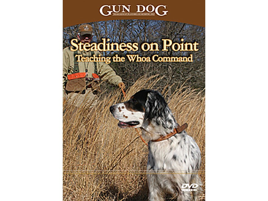 Gun Dog: Steadiness on Point: Teaching the Whoa Command DVD
