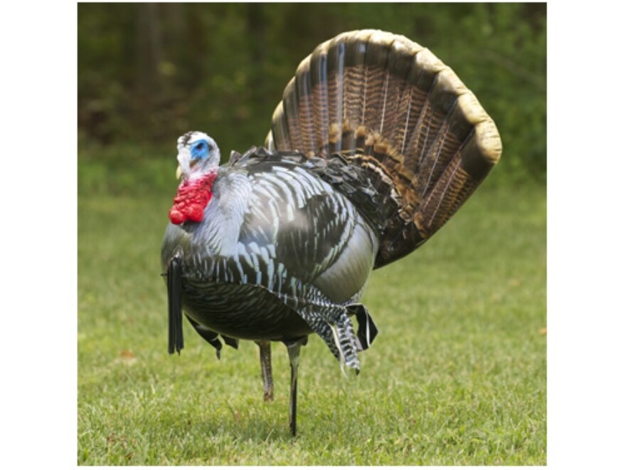Cherokee Inflatable Turkey Decoys Sexxy Legs Turkey Decoy : Buy Online