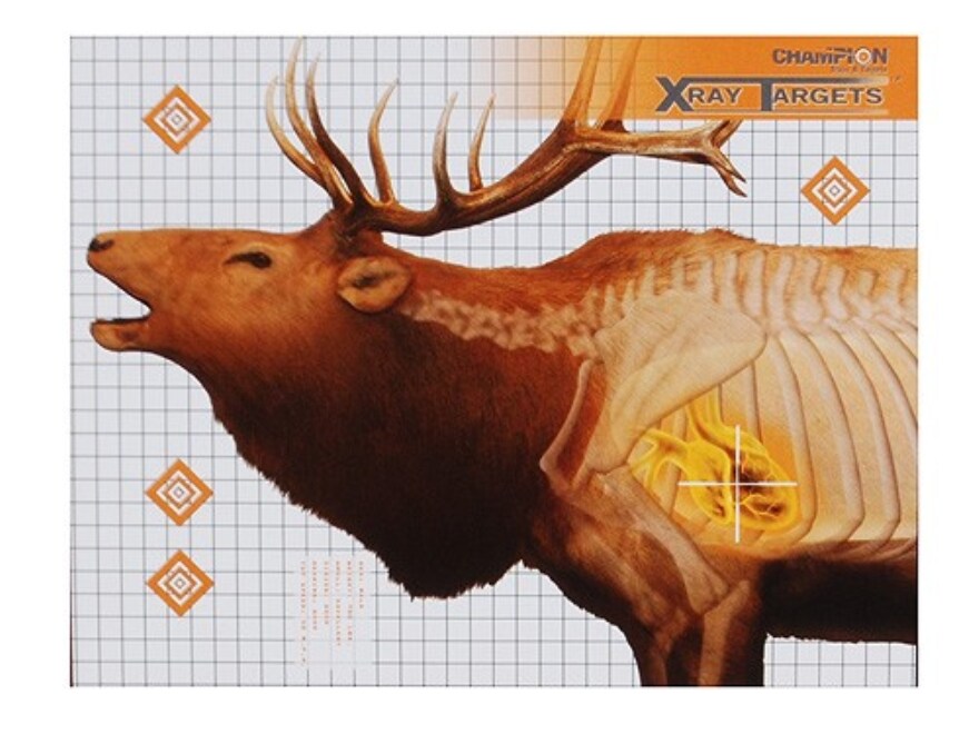 Champion XRay Elk Targets 36 x 30 6PK