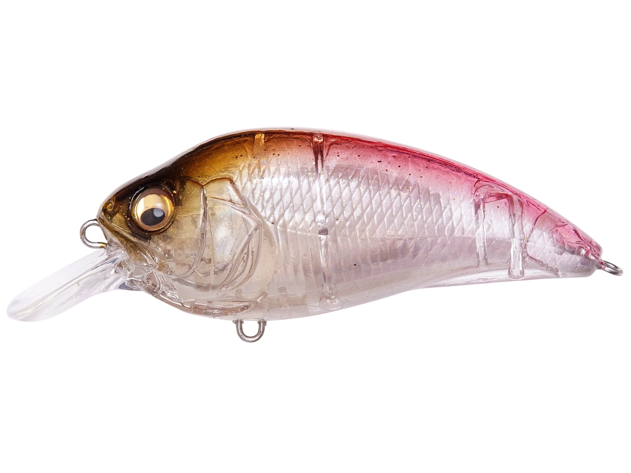 Megabass Super-Z Z1 Square Bill Crankbait GP Cotton Wakasagi