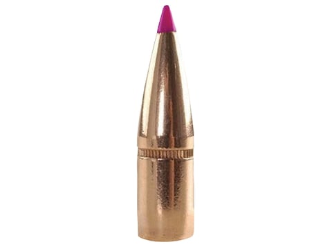 Hornady Big Game Bullets 7.62x39mm (310 Diameter) 123 Grain Purple