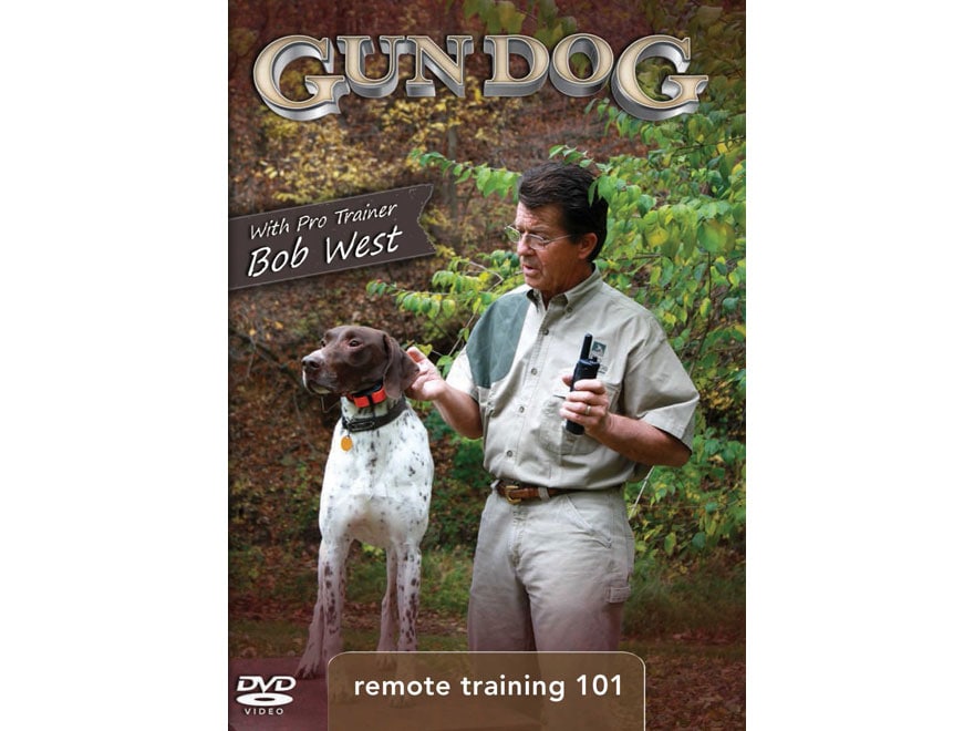 Gun Dog: Remote Training 101 DVD