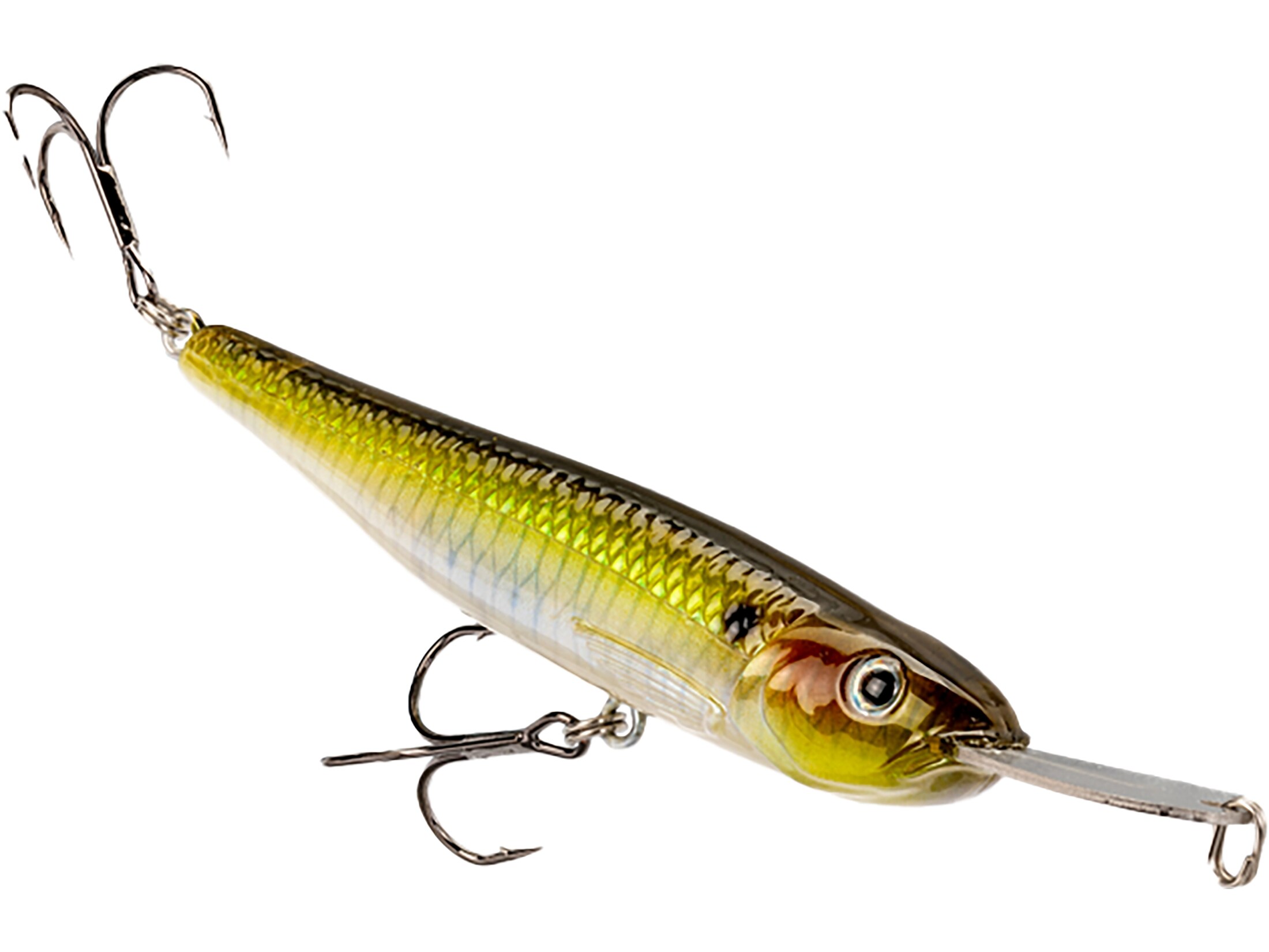 Strike King Evader 80 Topwater Ghost Herring