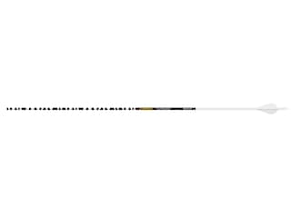 Product Comparison for Gold Tip Hunter XT 300 Carbon Arrow 2" Vanes 12PK
