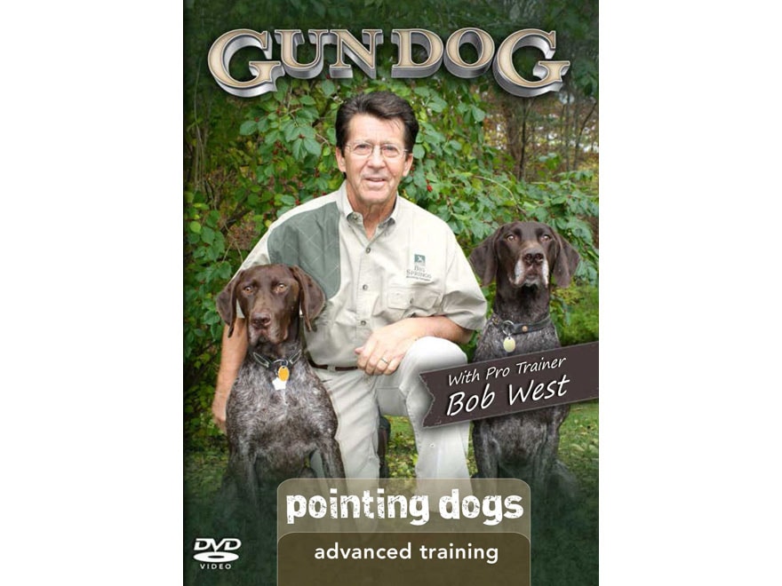 Gun Dog: Advanced Training: Pointing Dogs DVD