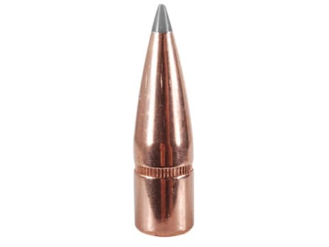 Factory Second Bullets 303 Cal 7.7mm Japanese (312 Diameter) 150 Grain