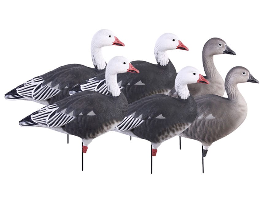 GHG Pro-Grade Active Pack Full Body Blue Goose Decoy 6PK