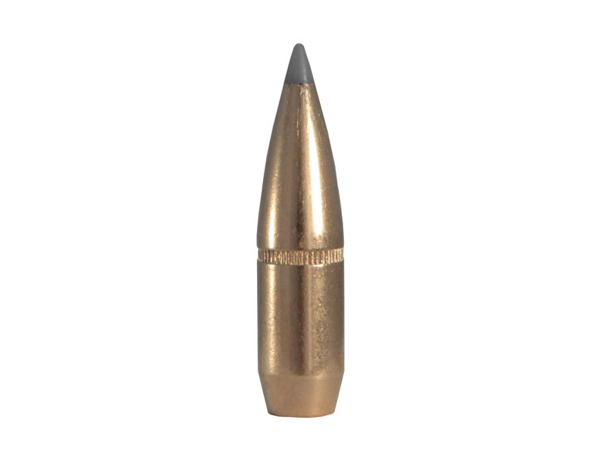 Factory Second 30 Cal (308 Diameter) Bullets 165 Grain Bonded Spitzer