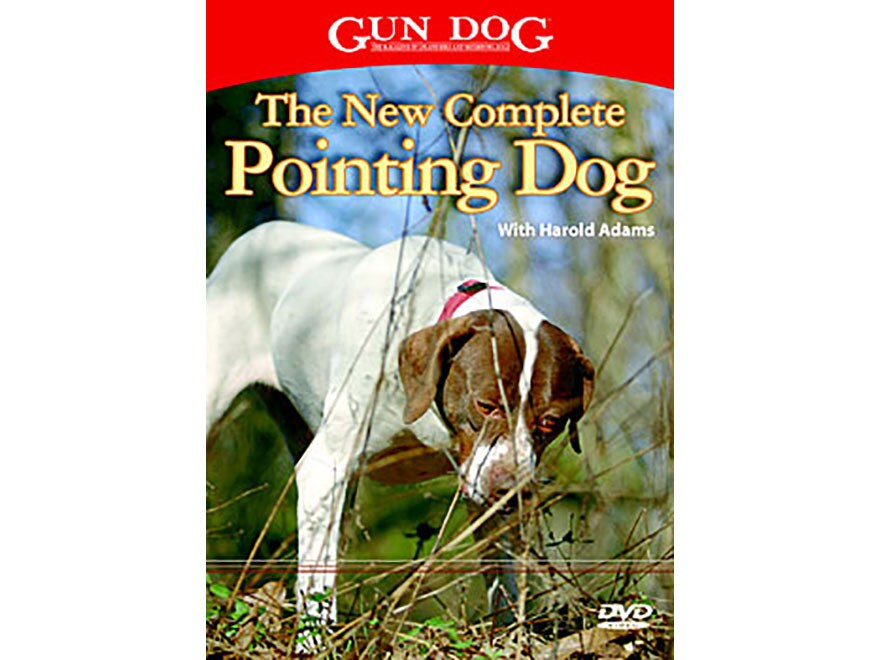 Gun Dog: The New Complete Pointing Dog DVD