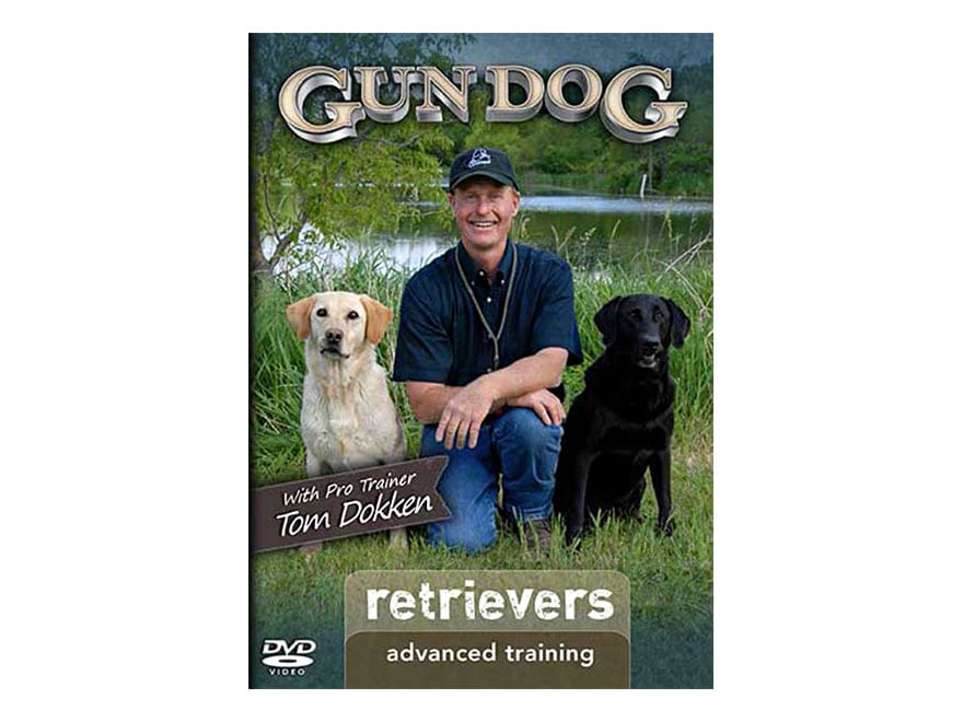 Gun Dog: Advanced Training: Retriever DVD