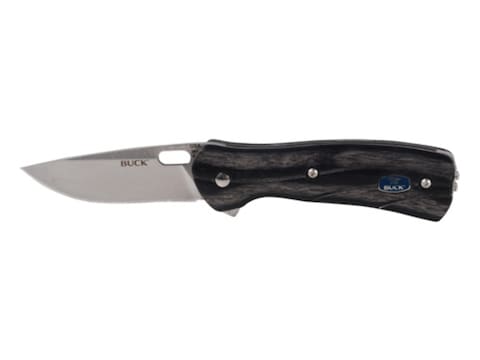 Buck 341 Vantage Avid Folding Knife 2.63 Drop Point 13C26 Sandvik