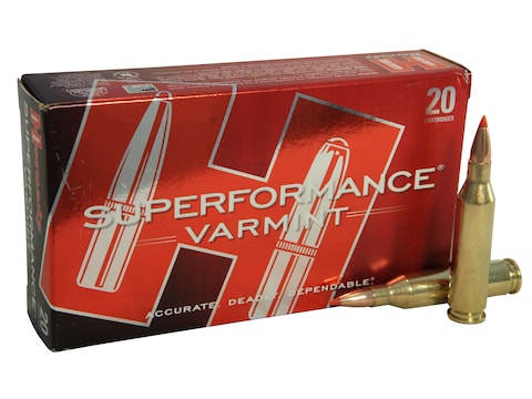 Hornady Superformance Varmint Ammo 243 Winchester 58 Grain V-MAX Box