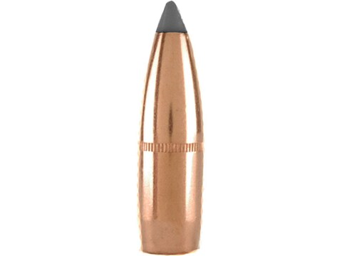 Factory Second Bullets 9.3mm (366 Diameter) 250 Grain Bonded Spitzer